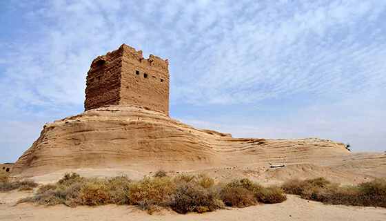 Car Rental Tabuk Downtown, Tabuk - Saudi Arabia - VIP Cars